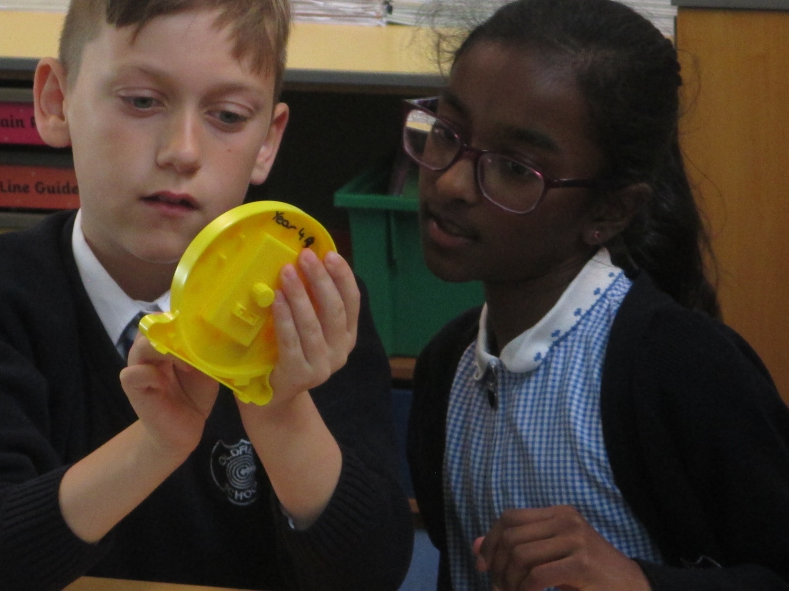 Koalas at work! - Oldfield Primary School