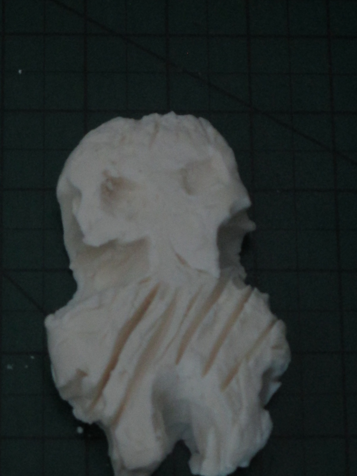 Soap Sculptures - Oldfield Primary School